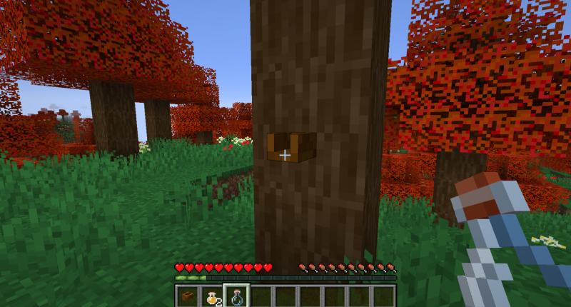 Question Duck's More Food Variety | MCreator